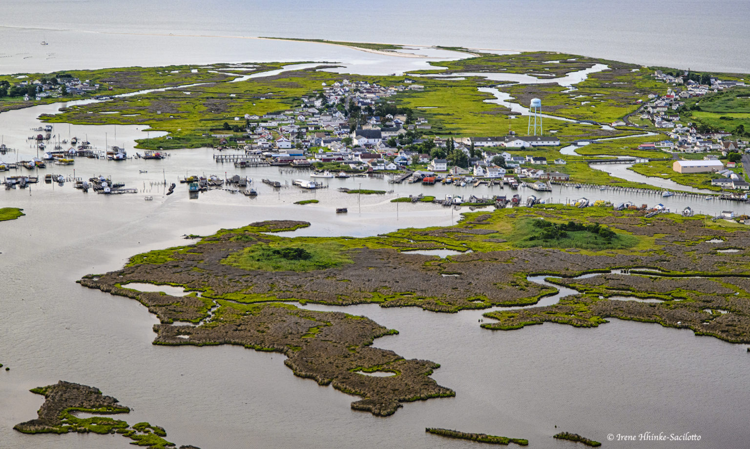 Tangier Island Photo Workshop - Spring 2024 - Osprey Photo Workshops ...